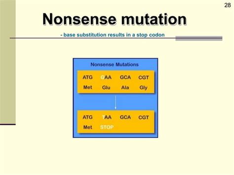 Dna Replicationrepair And Mutation Ppt