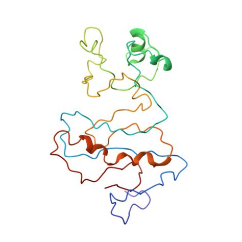 Rcsb Pdb 8g60 Mrna Decoding In Human Is Kinetically And Structurally Distinct From Bacteria