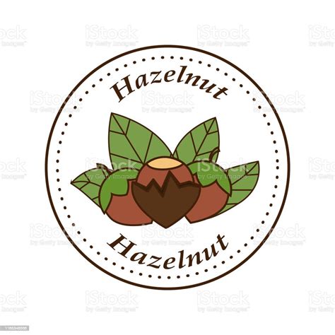 만화 스타일의 벡터 헤이즐넛 로고입니다 흰색 배경에 격리 된 디자인 및 웹에 대한 그림 0명에 대한 스톡 벡터 아트 및 기타 이미지 0명 건강한 식생활 견과류 껍질