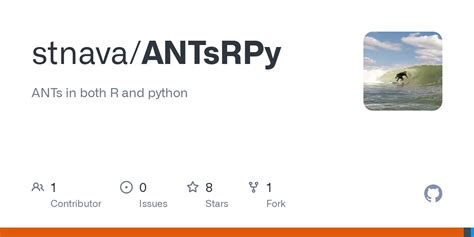 GitHub Stnava ANTsRPy ANTs In Both R And Python