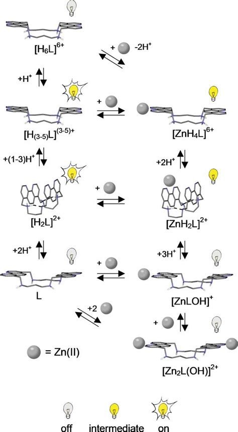 Schematic Representation Of The Modifications To The Structural And
