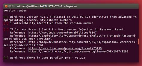 secure your wordpress website with wpscan vulnerability scanner