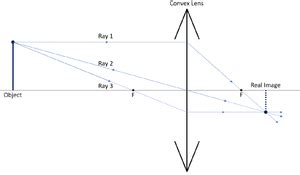 Convex Lens Key Stage Wiki