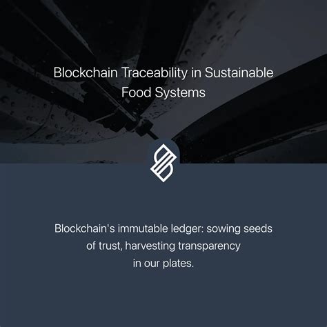 Blockchain Traceability In Sustainable Food Systems → Scenario
