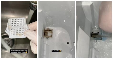 Woman Discovers Disgusting Ice Maker Self Cleaning Setting