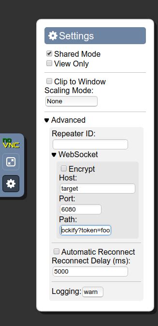 Novnc How To Specify Cookie For Websocket Url Stack Overflow