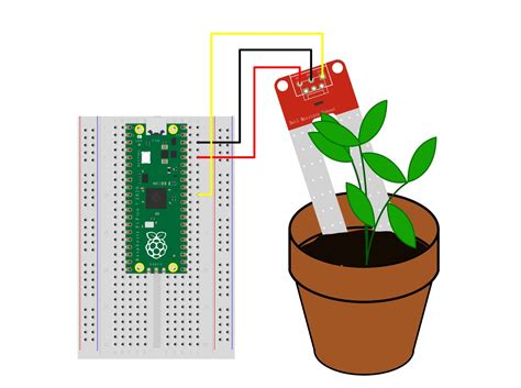 How To Monitor Your Houseplants With Raspberry Pi Pico W And Telegram