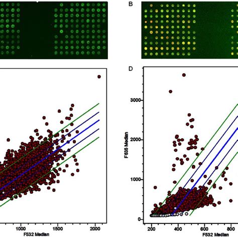 Dual Color Fluorescent Protein Microarray Detecting System Sera From