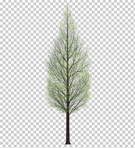 Tree D Rendering PNG Clipart D Rendering Branch Cartoon Christmas Decoration