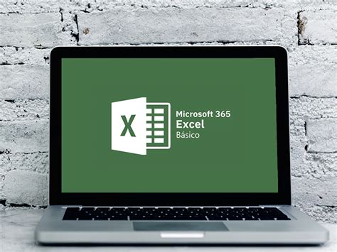Microsoft Excel 365 Básico Cursos E Learning