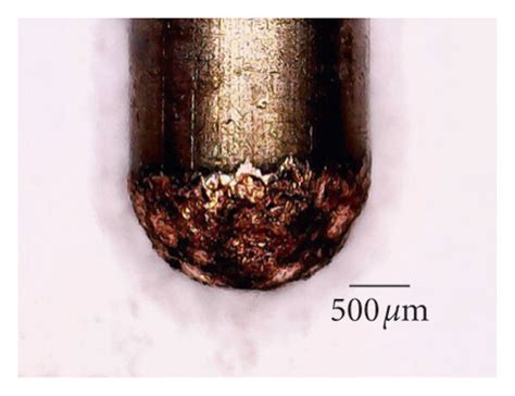 Shape Change Of Copper Based Composite Tools A Common Tool B Download Scientific Diagram