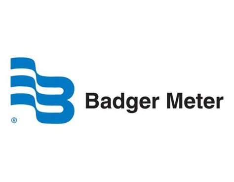 Badger Meter Integrity Information Services