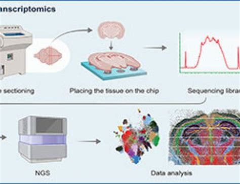 An Introduction To Rna Seq Methods Applications Experimental Design And Technical Challenges