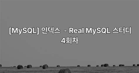 Mysql 인덱스 Real Mysql 스터디 4회차 박종훈 기술블로그