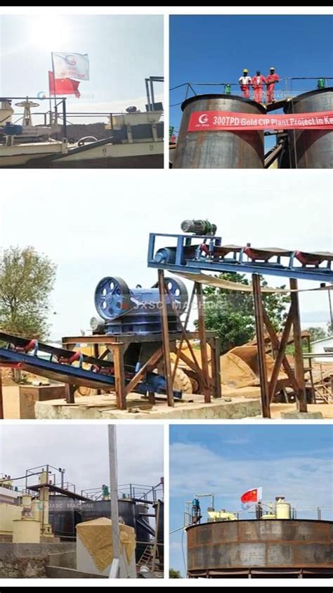 What Are The Advantages Of The Cip Plant Plant Projects Plants