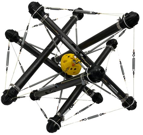 Customized Development Squishy Robotics