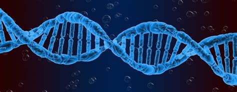 Cannabinoids Definition Effects Benefits List Of All Cannabinoids Biomedican