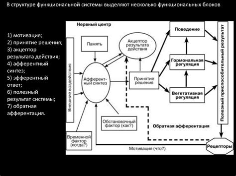 Теория функциональных систем Психофизиологическая структура