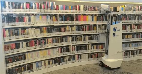 Simple Database Basics For Beginners Servermall Blog