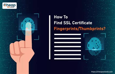 How To Find An Ssl Certificate Fingerprintthumbprint