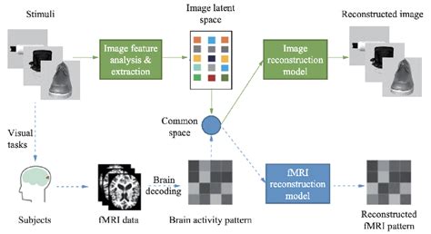 The Above Figure Displays The Process Of Brain Decoding And Download Scientific Diagram