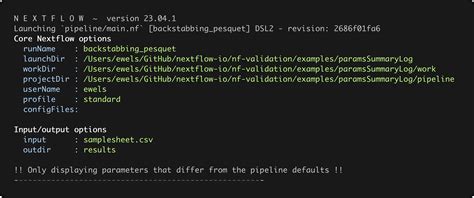 Parameter Log Nf Schema