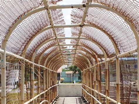 Combining Qualitative And Quantitative Approaches Ppt