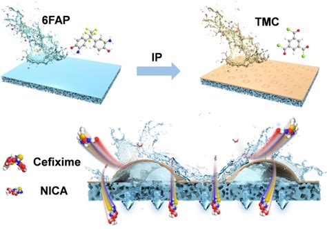 Fabrication Of CoffeeRing Nanostructured Membranes For Organic Solvent Nanofiltration Jin