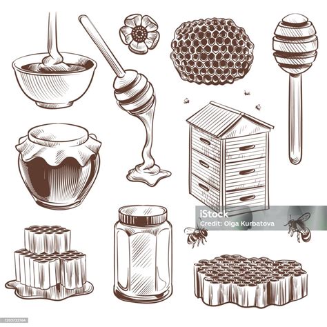 스케치 꿀 천연 유기농 달콤한 식품 꿀 꽃가루와 밀랍 벌꿀 꿀벌이 새겨져 있습니다 양봉 빈티지 손으로 그린 벡터 세트 꿀에 대한 스톡 벡터 아트 및 기타 이미지 Istock