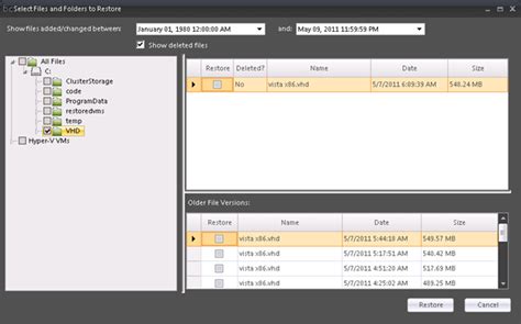 Virtual Machine Restore Selection Screen File Based