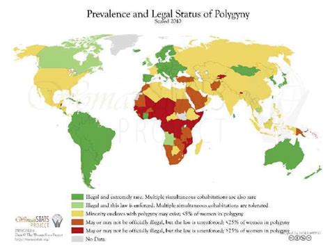 Polygamy The History The Polygamy Comes Mainly