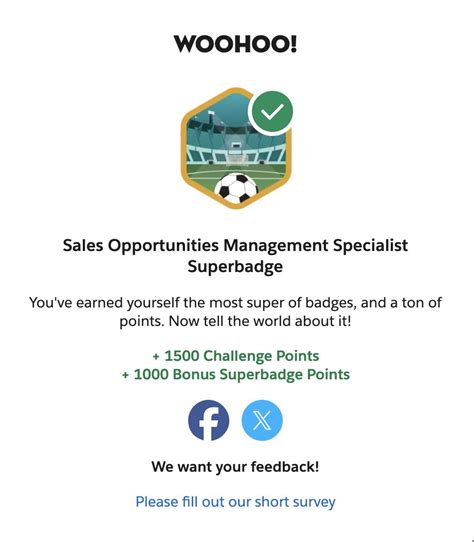 Salesforce Superbadges Learning Confetti Sales Tayler Gammon