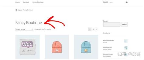 如何更改 woocommerce 商店页面标题（快速简单） 知乎