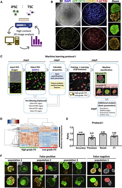 A Supervised Machine Learning Protocol Phenologic Developed By Guo Et