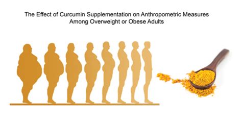 The Effect Of Curcumin Supplementation On Anthropometric Measures Among Overweight Or Obese Adults