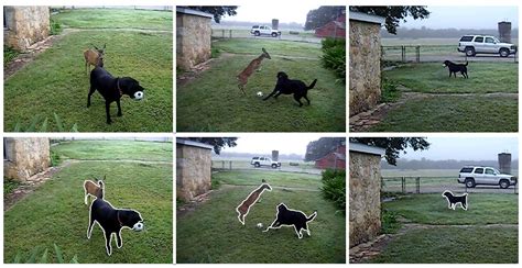 Analyzing The Subspace Structure Of Related Images Concurrent Segmentation Of Image Sets Eccv 2012