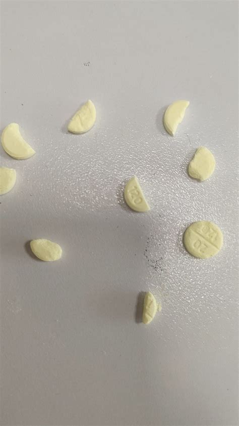 Highnoon Dataset 1041 5 Object Detection Dataset By Blister