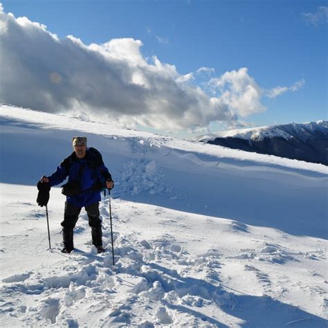 Mihai Voicu Economist Public Entity Linkedin