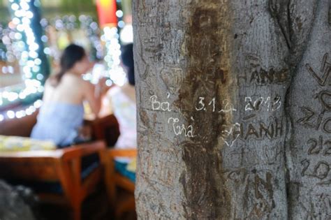 A Saigon café climbs trees to serve its customers Read to lead