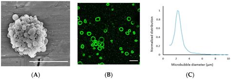 Sonoporation Using Nanoparticle Loaded Microbubbles Increases Cellular
