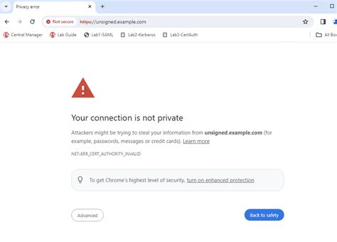 Lab 1 1 Next Access Through API