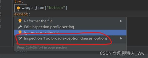 Python捕获异常pycharm报 Too broad exception clause警告 CSDN博客