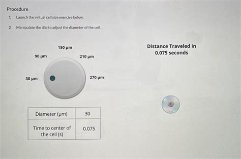 Solved Exercise 2 Exploring Cell Size In This Exercise You