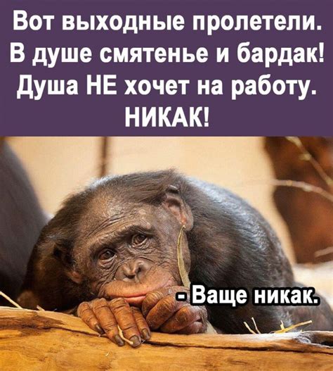 Картинки Доброго понедельника 63 картинки