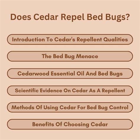 Does Cedar Repel Bed Bugs Unveiling Natures Secret