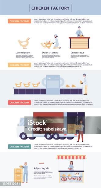 치킨 고기와 계란 생산 공장 인포 그래픽 플랫 벡터 일러스트 산업에 대한 스톡 벡터 아트 및 기타 이미지 산업 인포그래픽