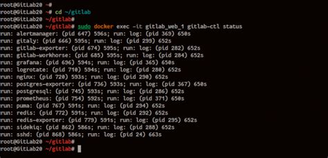 cómo instalar gitlab con docker en ubuntu 20 04 lts howtoforge