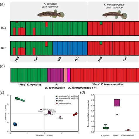 4 A Admixture Plots Showing The Genetic Clustering Value For K 2