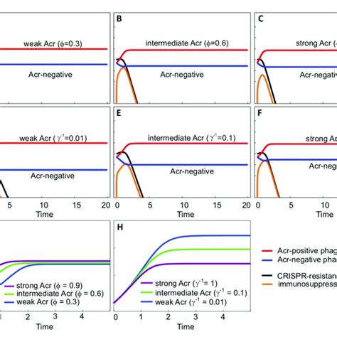 Fig S1 Evolutionary And Population Dynamics Following Infection Of Download Scientific