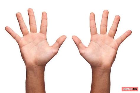 10 хуруугаар шивж сурах дадлага 60 000 ₮ №7685070 УБ — Баянгол д Компьютер ба интернэт